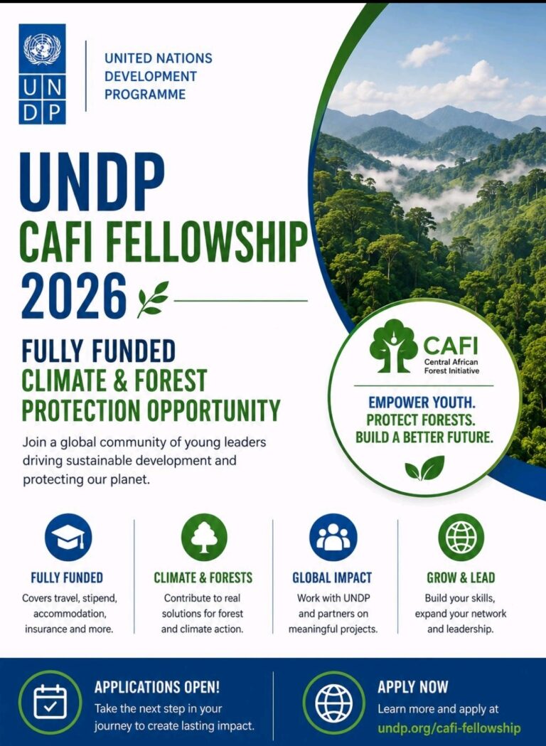 Fully Funded UNDP CAFI Fellowship 2026 — Apply Now - United Nations Recruit