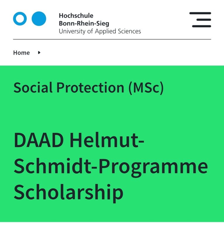 DAAD Helmut Schmidt Scholarship 2027 in Germany | Fully Funded Social ...